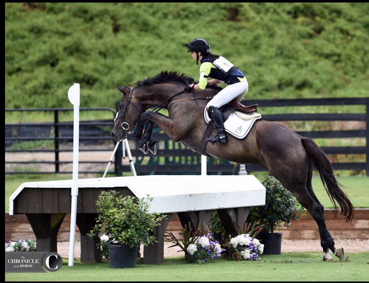 Training Program – KB Sporthorses